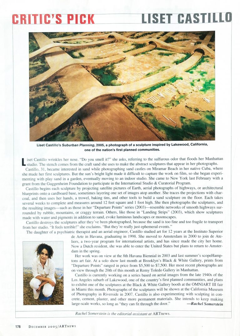 Art News | Liset Castillo
