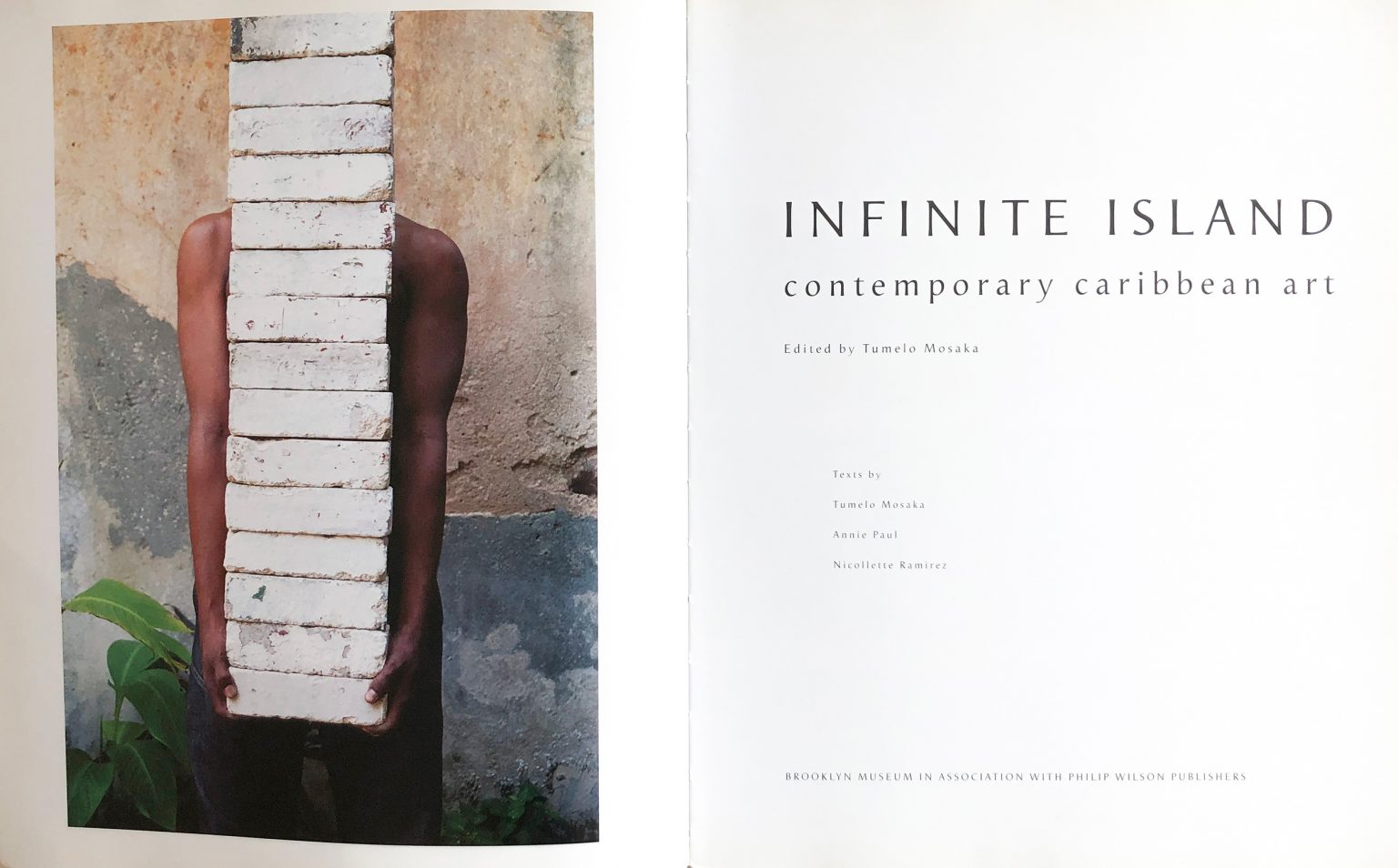 Infinite Island | Liset Castillo